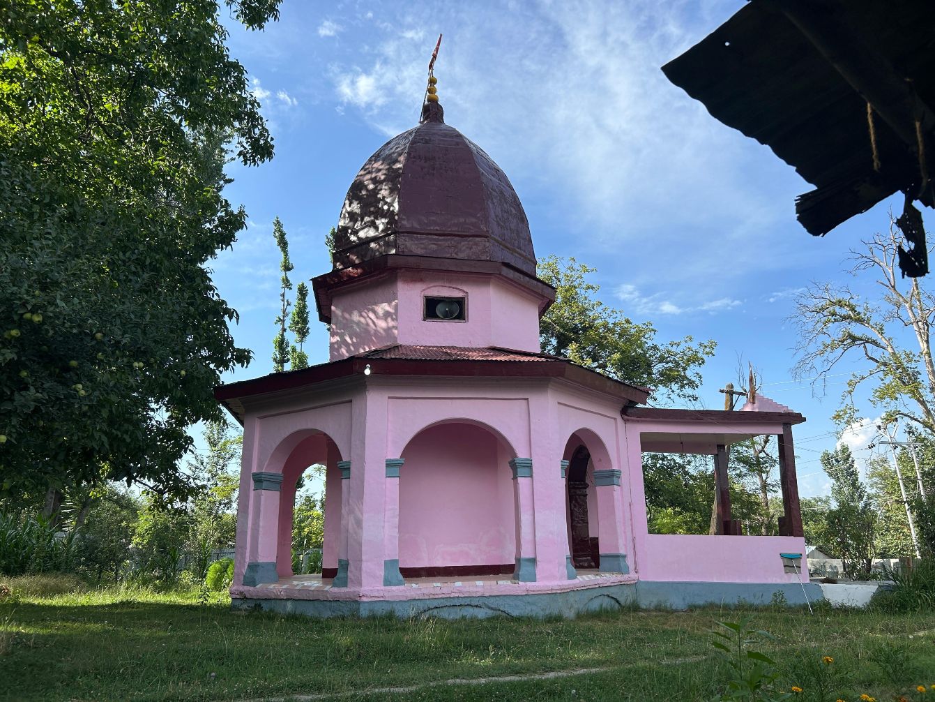 Where the Chinar still stands | Free Press Kashmir